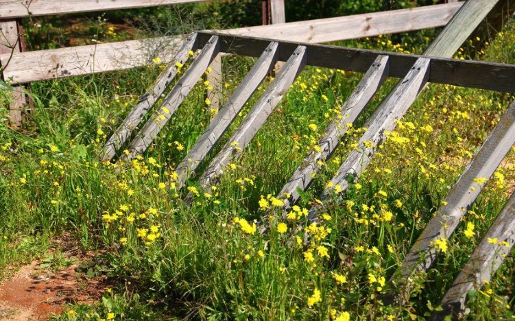 Blown Away! The Case of the Disappearing Fence - Workshopshed