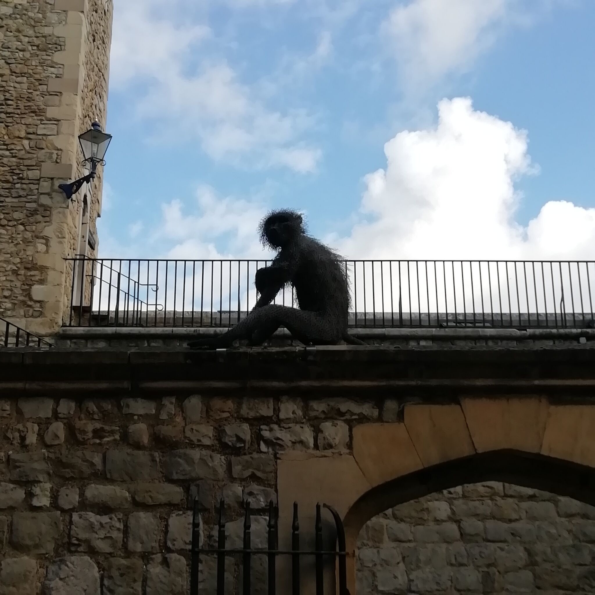 Animals at the Tower - Workshopshed